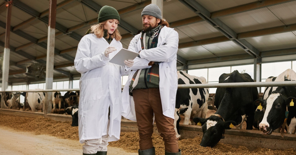 Scaling Archival Solution with Databricks | HCLTech