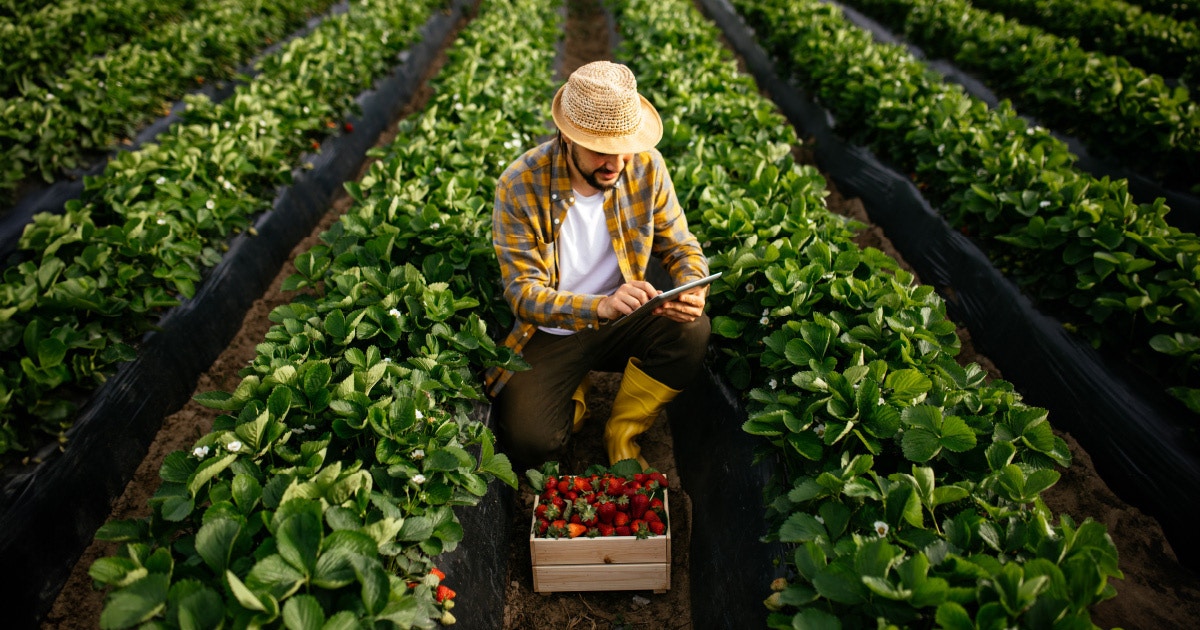 Tackling the top 10 procurement challenges for CPG companies today ...